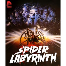 Spider Labyrinth UHD