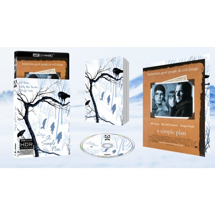 simple plan i will do anything